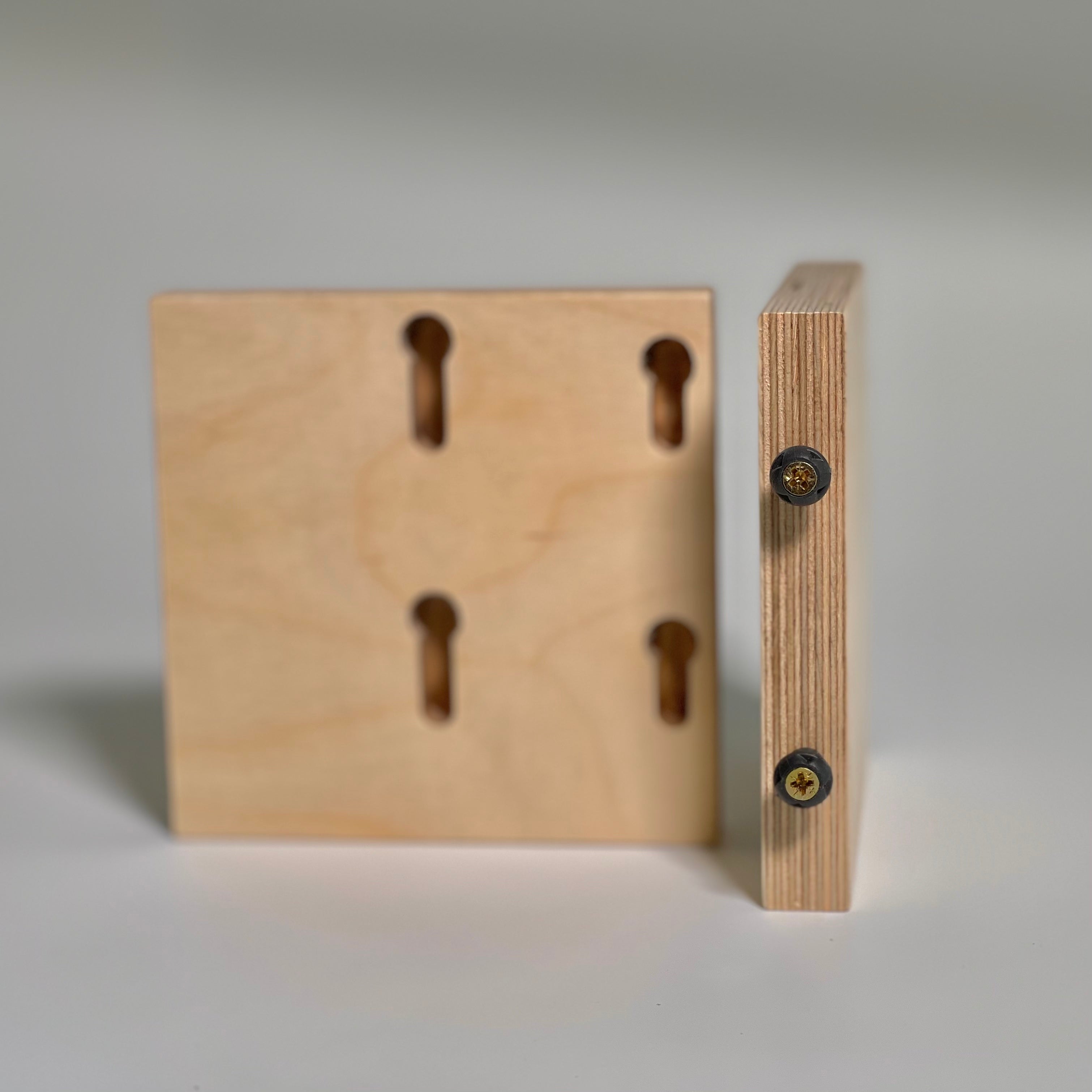 PEANUT 2 the invisible connector (Intelligent Fixings) – PiranhaTools